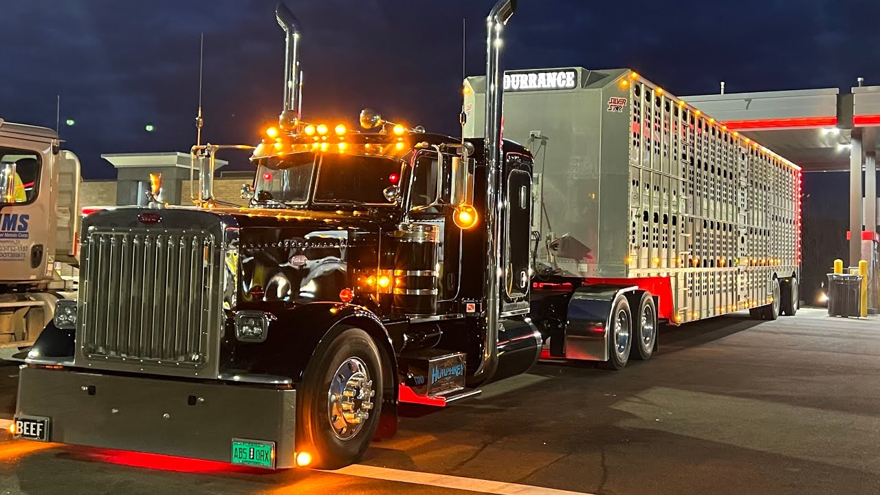 Reviving Classic Style: The Peterbilt 389 with a Vintage 359 Vibe ...
