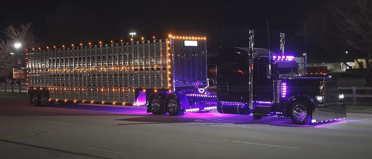 Custom Peterbilt 379 'Purple Storm': A Unique Blend of Power and Style ...