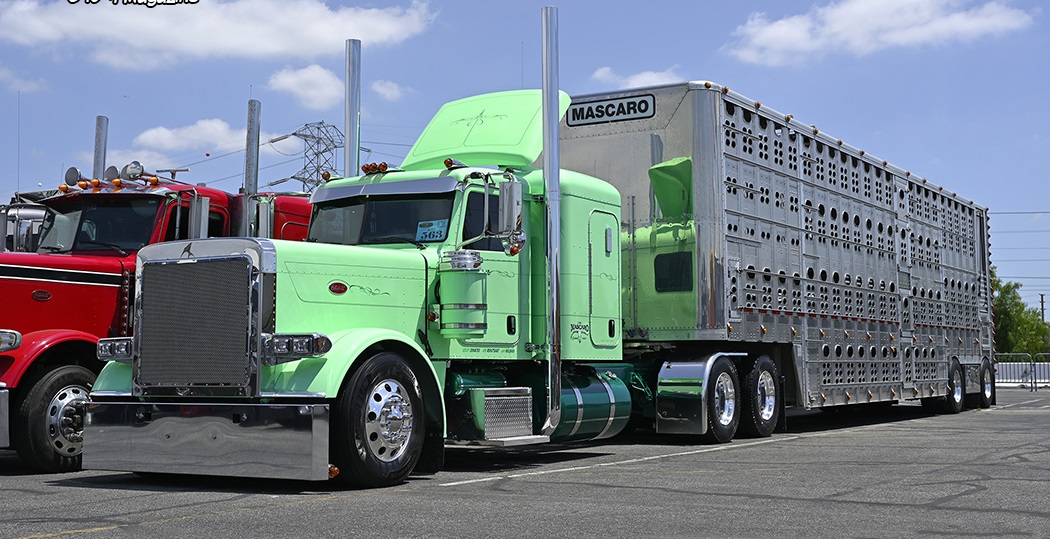 Ultimate Custom Peterbilt 389: The Road King's Masterpiece - Driver First