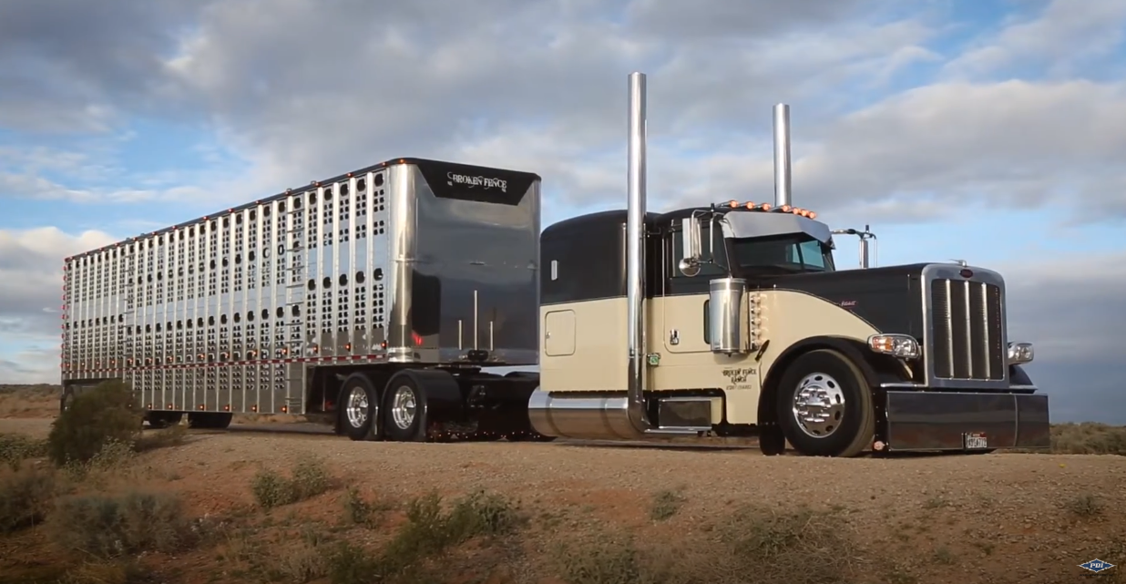 Custom Peterbilt 389: A Tailored Beast - Driver First