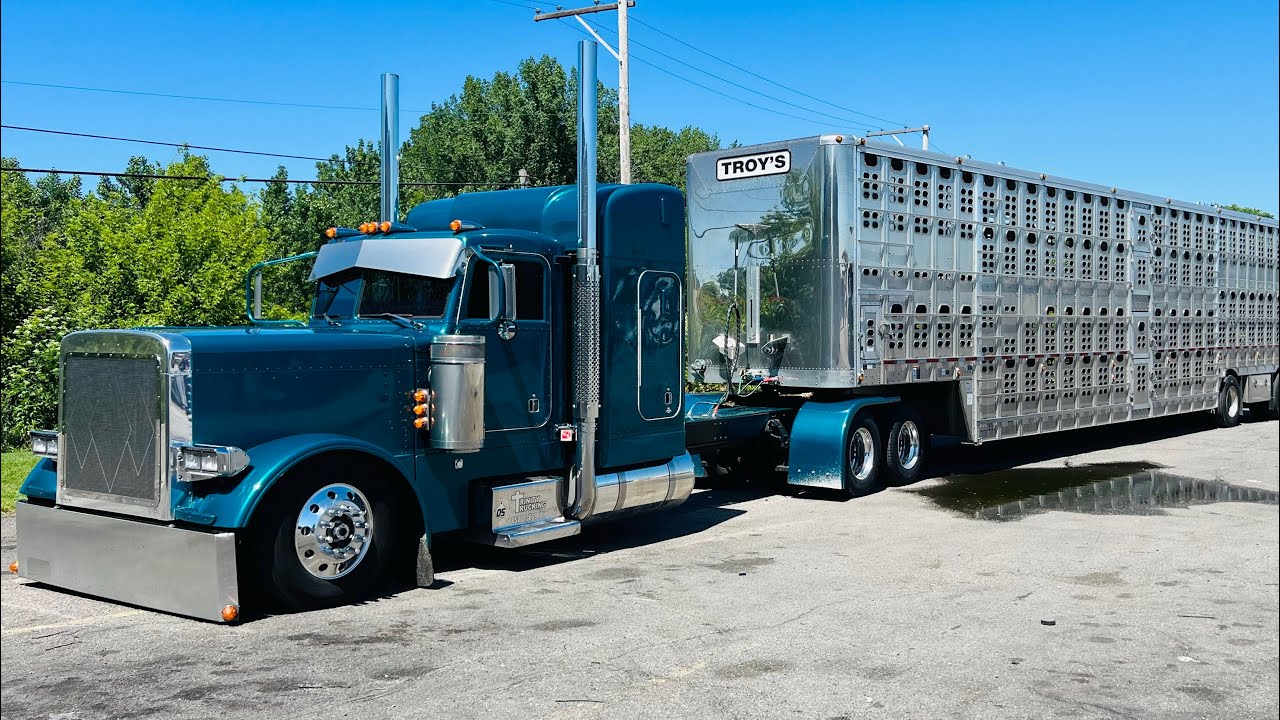 Crafted for Perfection: Custom Peterbilt 379 Showcase - Driver First
